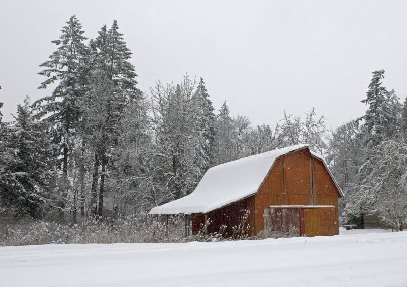 Red Barn in Winter Snow stock photo. Image of countryside - 4118742