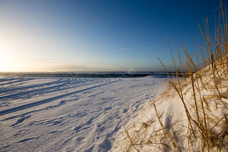 Snow Covered Beach at Dawn stock image. Image of covered - 81169083