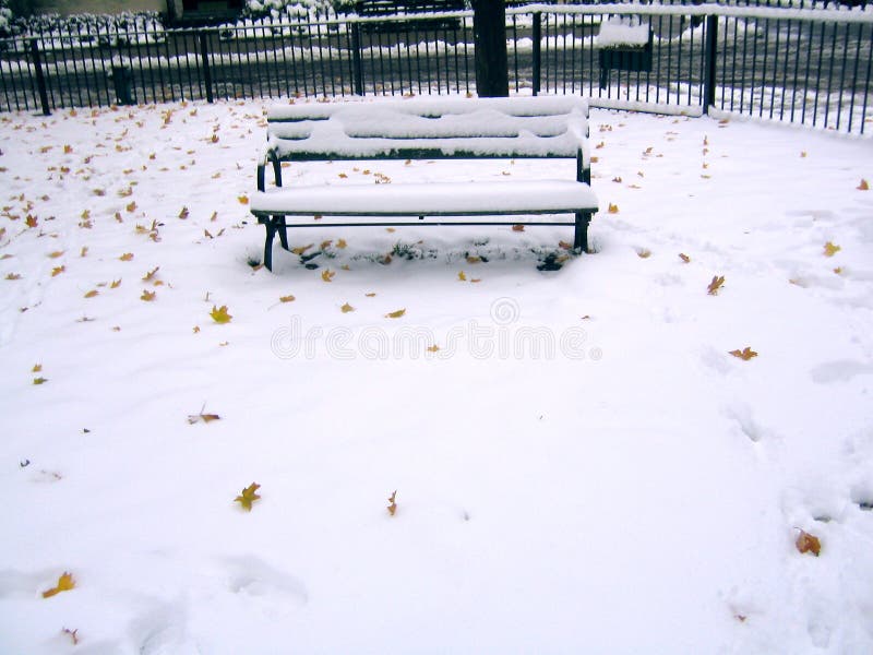 Snow Covered Bench Picture. Image: 805934