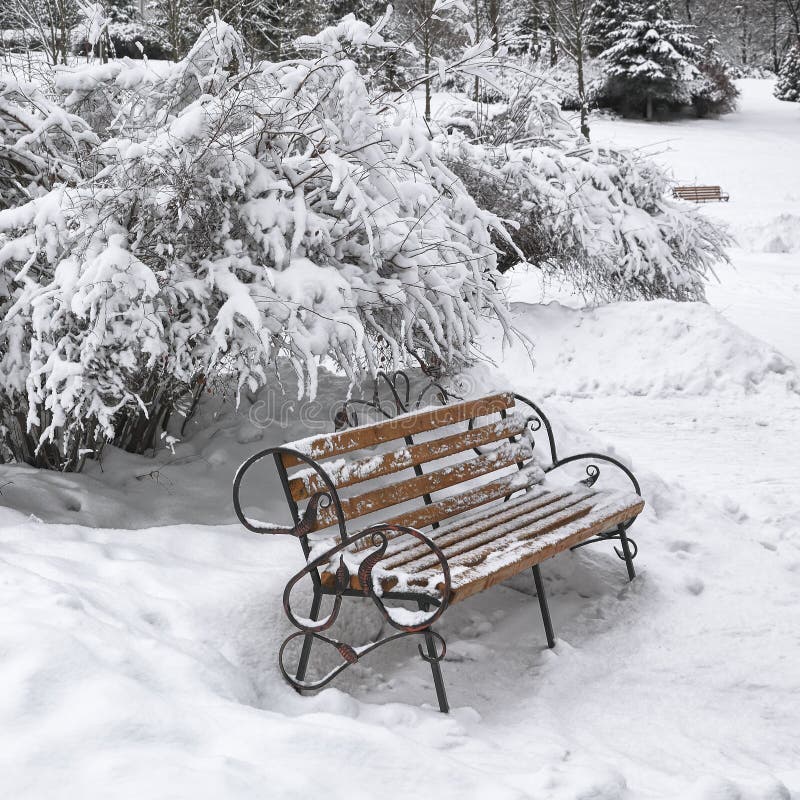 Snow-covered Bench in City Park at Winter Day Stock Image - Image of ...