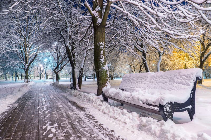 Snow-covered Bench in the Evening Park Stock Photo - Image of night ...