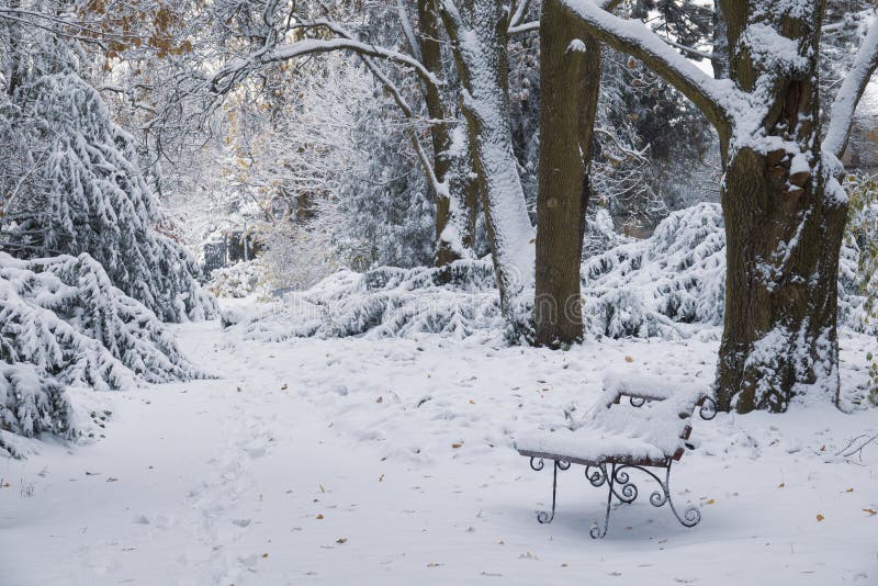 Snow Covered Bench and Footprints on the Snow in the Winter Park Stock ...
