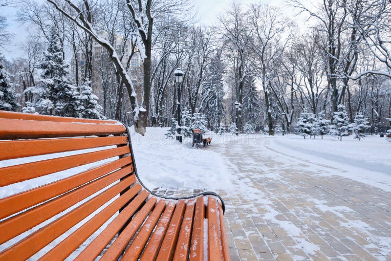 Snow Covered Bench in a Park Stock Image - Image of bank, snow: 259725075