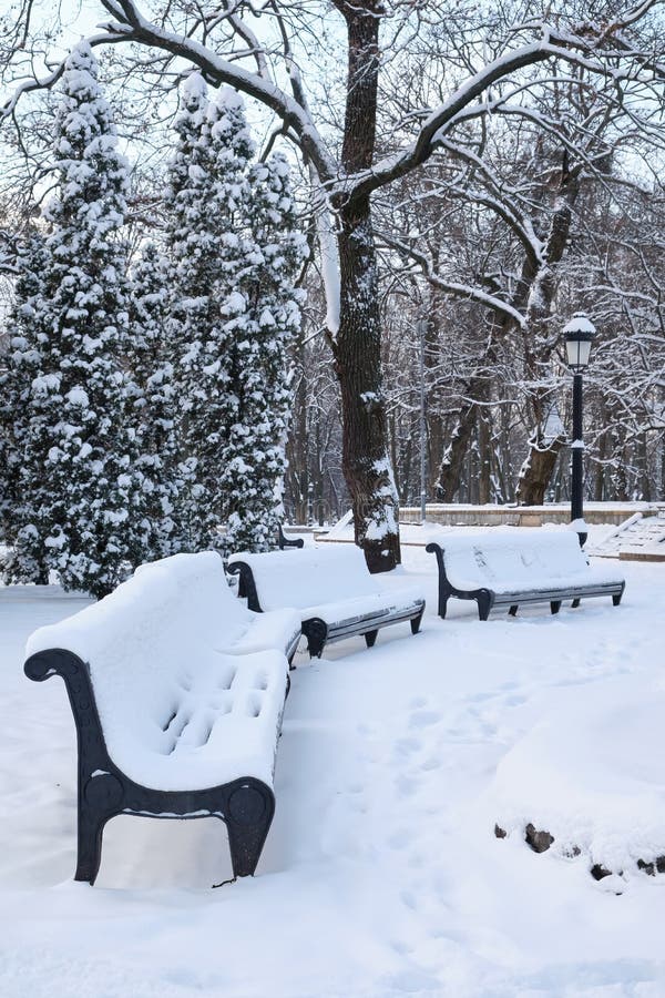 Snow Covered Bench in a Park Stock Photo - Image of bushes, seasonal ...