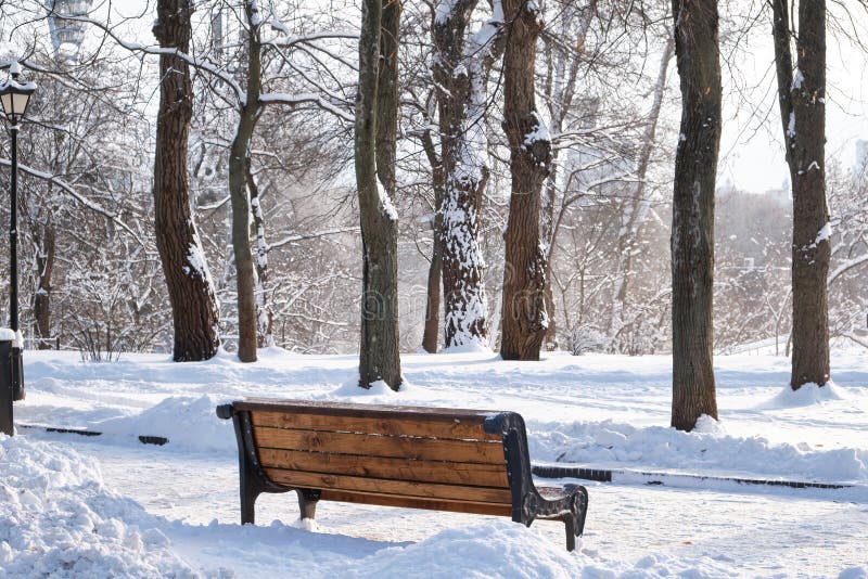 Snow Covered Bench in a Park Stock Image - Image of seasonal, misty ...