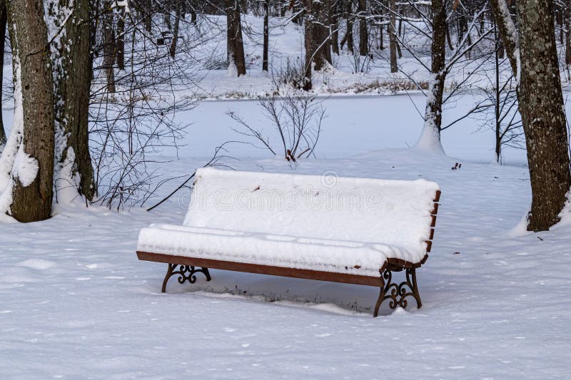 Snow-covered Bench in the Park, Winter View, Full of Snow Stock Photo ...
