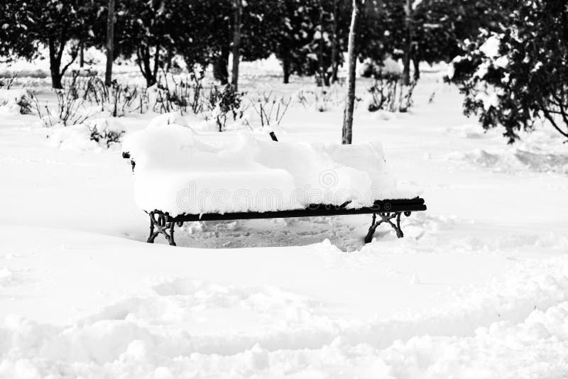 Snow-covered Bench in the Park. Park Bench Covered with Snow from the ...