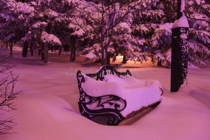 Snow Covered Bench in the Park at Night Stock Image - Image of lane ...