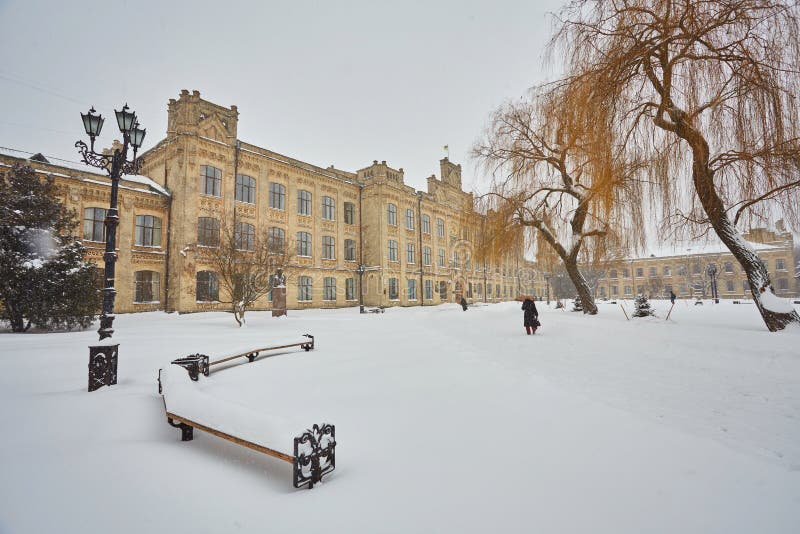 Snow Covered Bench in a Park Stock Photo - Image of benches, season ...