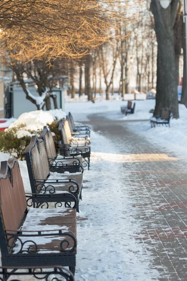 Snow Covered Bench in Winter Amusement Park Stock Photo - Image of ...