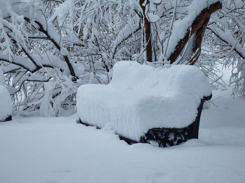 Snow Covered Bench. Winter Park Stock Image - Image of park, january ...