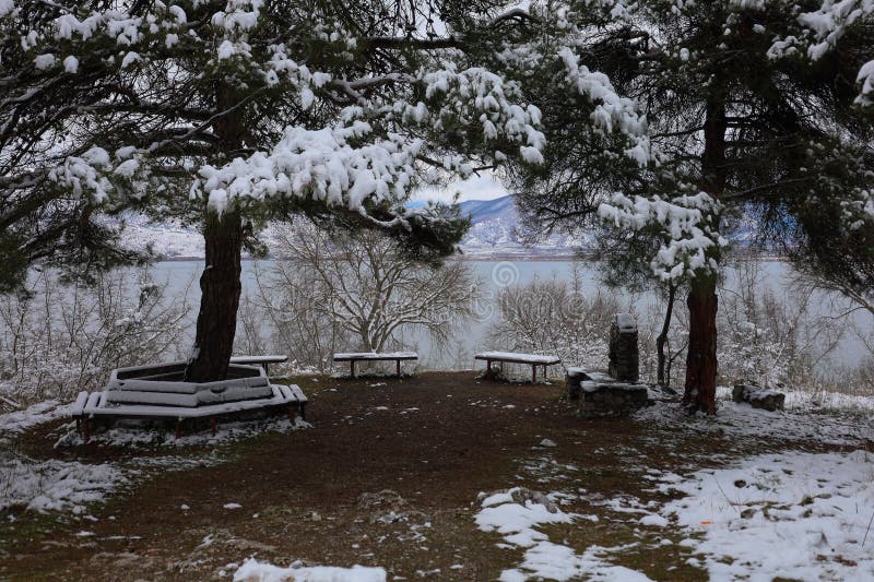 Snow-Covered Benches Overlooking a Winter Lake Stock Image - Image of ...