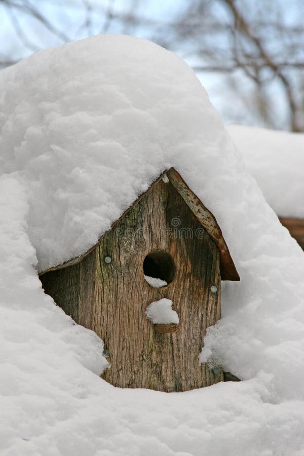 Snow covered bird house stock photo. Image of freezing - 4536822