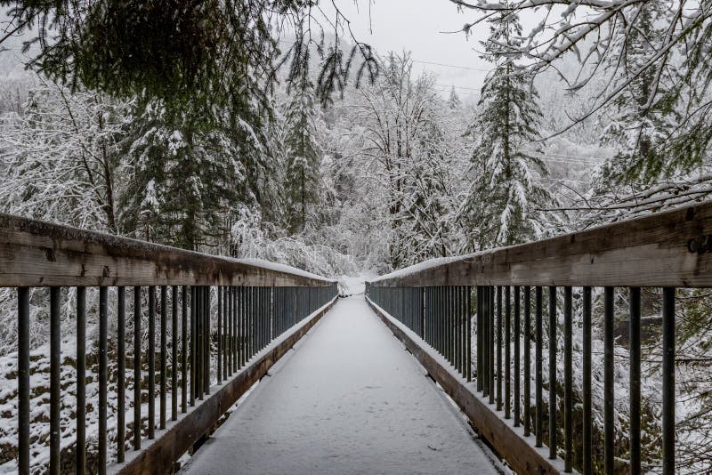 Snow Covered Bridge Emerges for the Trees Stock Photo - Image of forest ...