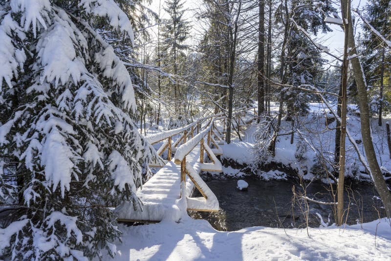 Snow-covered Bridge in a Mountain Forest. Around Oravice Stock Photo ...