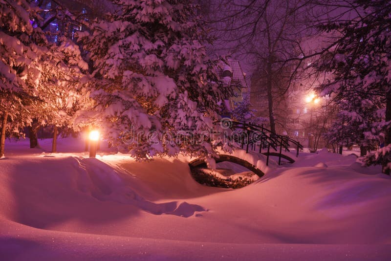 Snow Covered Bridges in the Park Stock Image - Image of mystery, path ...
