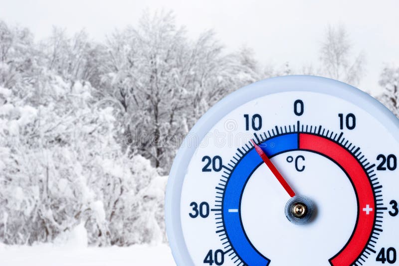 Snow Covered Bushes and Trees, Thermometer Below Minus Ten Degrees ...