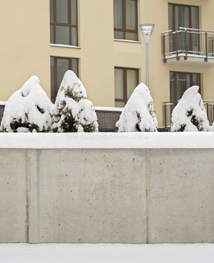 Snow Covered Cement Wall, Bushes And Ground Stock Photo - Image of ...