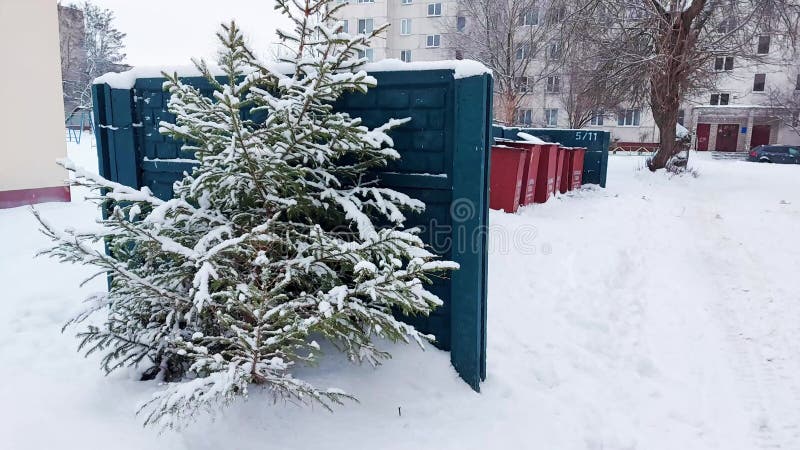 Snow-covered Christmas Tree on a Garbage Dump in the City. the Concept ...