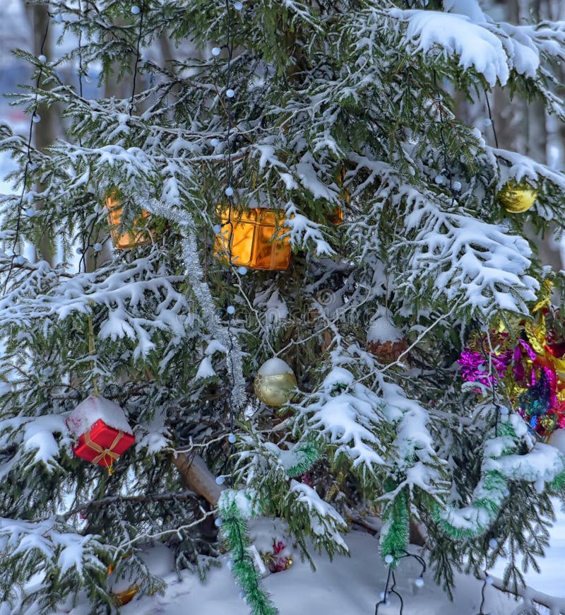 Snow-covered Christmas Tree Stock Image - Image of festive, cover: 51300579
