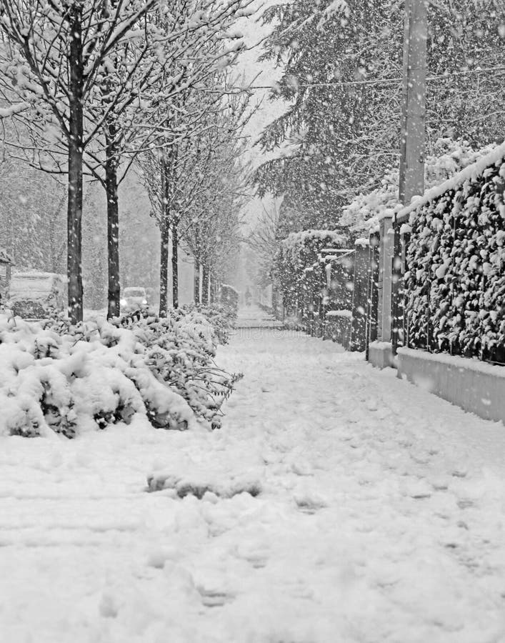 Snow-covered City Street during a Snowfall Stock Image - Image of snowy ...