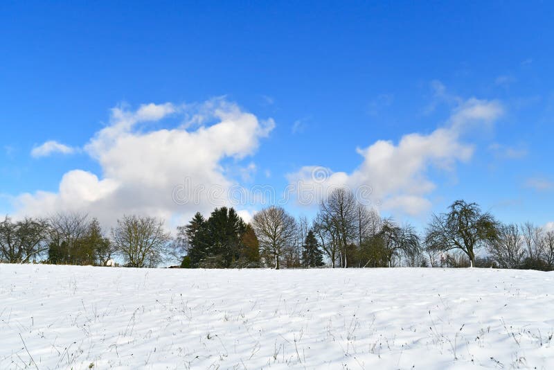 Snow Covered Clearing during Winter with Blue Sky Stock Image - Image ...
