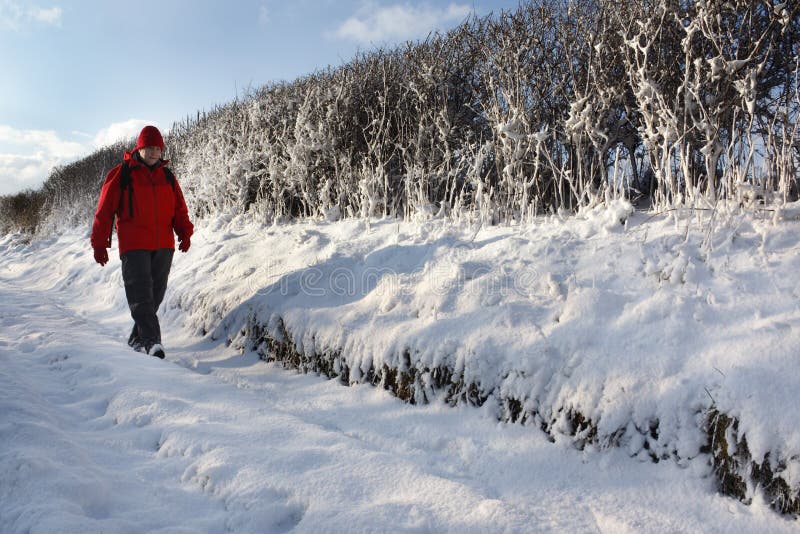Snow Covered Country Lane - England Stock Image - Image of britain ...