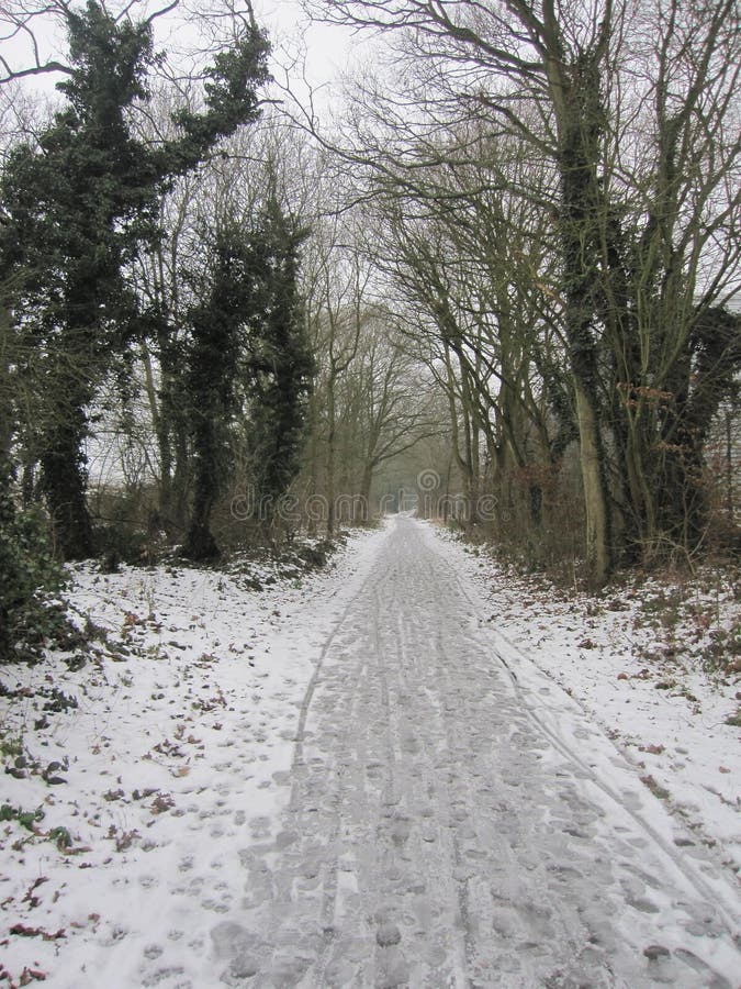 A Walk in Winter stock image. Image of lane, covered - 111272359