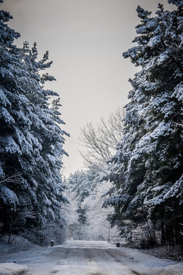 Snow covered country road stock photo. Image of nature - 28839468