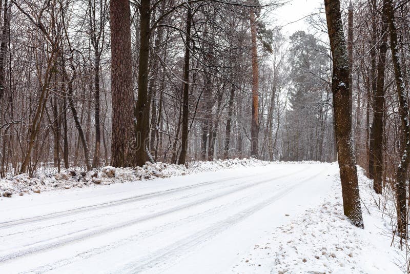 Snow-covered Country Road in Forest in Winter Stock Photo - Image of ...