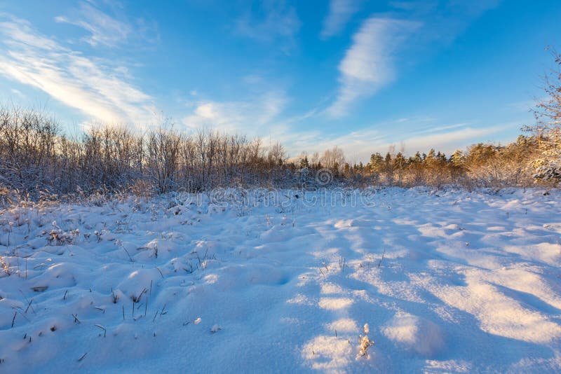 Snow Covered Countryside with Trees Stock Photo - Image of adventure ...