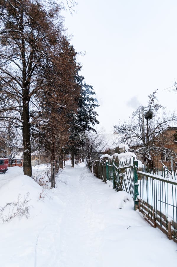 Snow Covered Courtyard in the Village. Snowy Street Stock Photo - Image ...