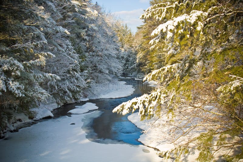 Snow Covered Creek in Pine Forest Stock Image - Image of creek, frost ...