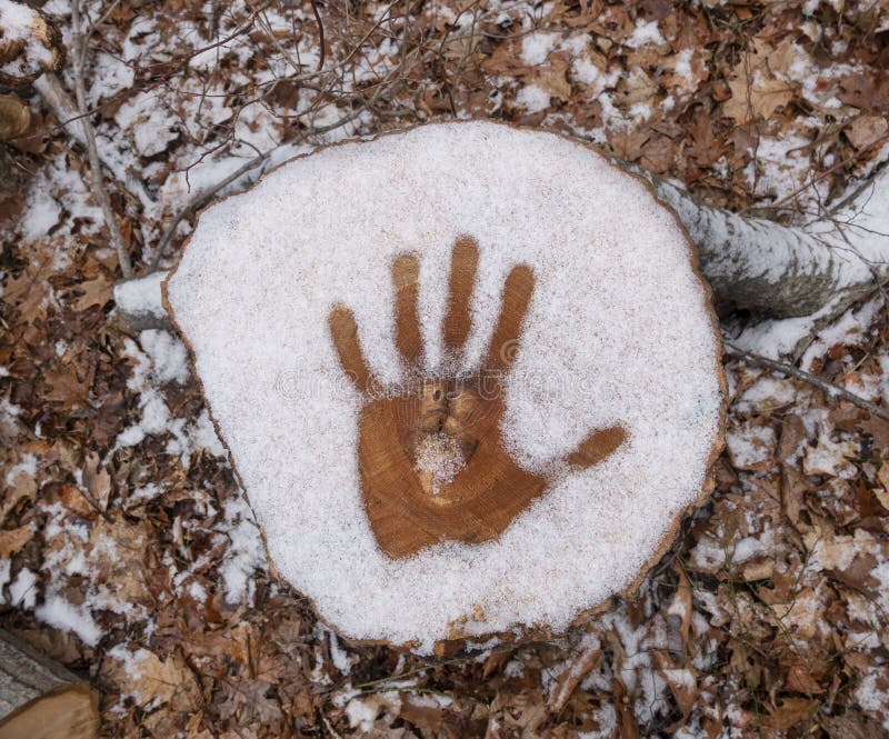 Hand Print in Snow on a Tree Stump Stock Image - Image of fingers, tree ...