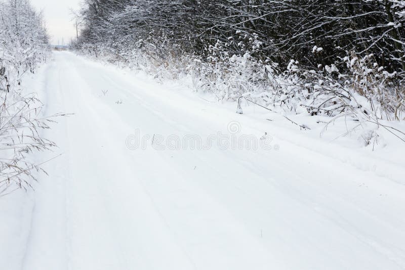 Dirt Path In The Park Running Between Trees Covered With Snow Stock ...