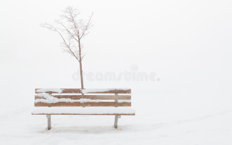 Snow Covered Empty Wooden Bench and Tree in a Ghostly Winter Fog Stock ...