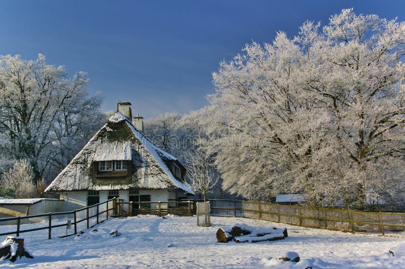 Snow-covered Farmhouse with Trees before a Blue Sky Stock Image - Image ...