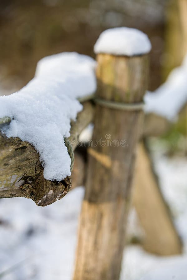 Snow Covered Fence Post in Winter Stock Image - Image of fairy ...