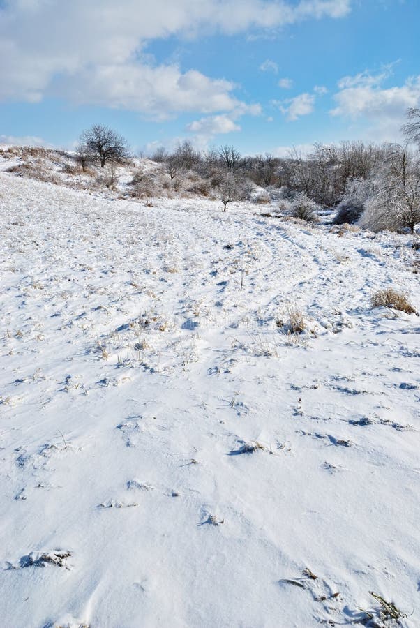 Snow Covered Field stock photo. Image of winter, space - 13190210