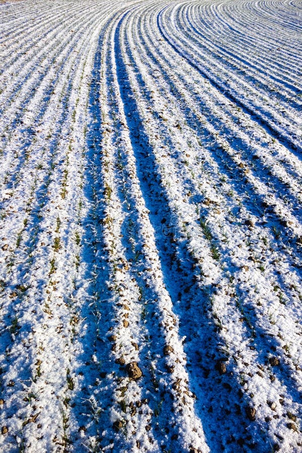 Snow covered field stock photo. Image of mould, ground - 90719998