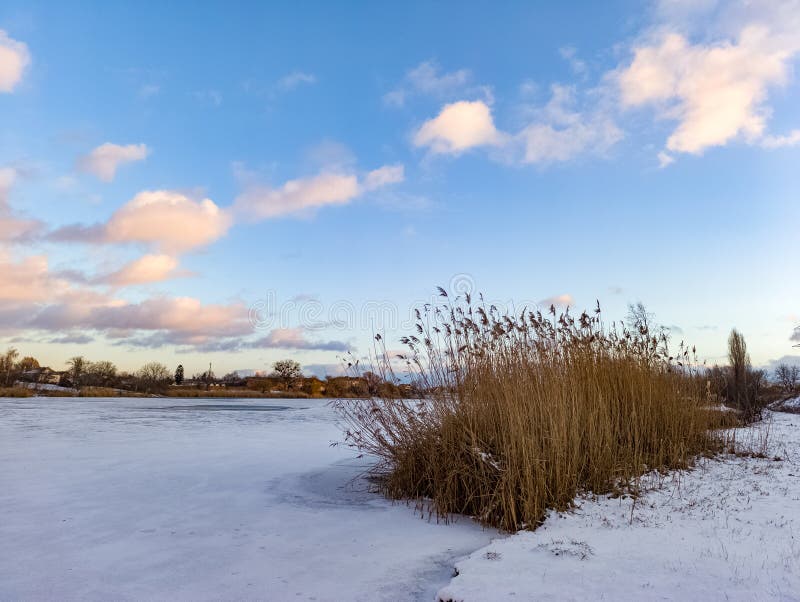 A Snow Covered Field with Tall Grass in the Foreground Stock Image ...