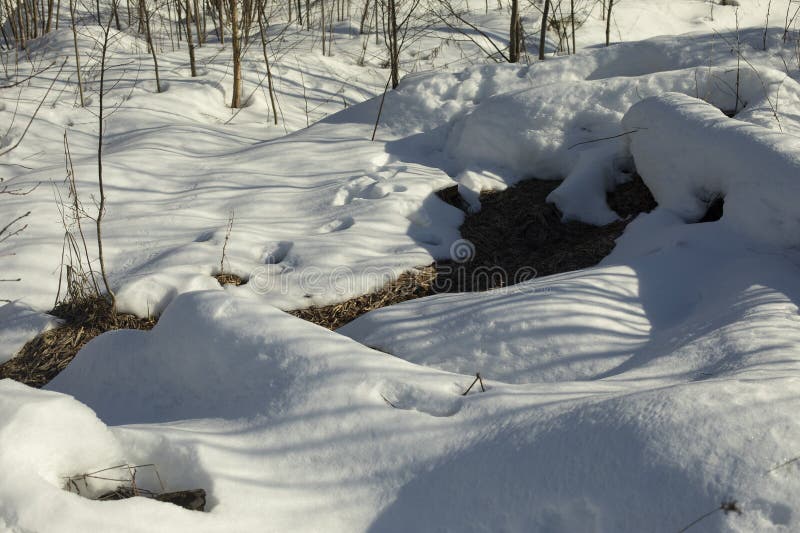 Snow-covered Field. Thawed Patches in the Snow Stock Image - Image of ...