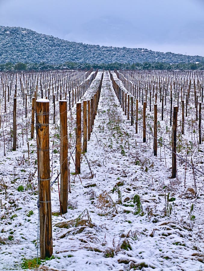 Snow Covered Field with Wooden Posts, Vertical Frame, Pieria, Greece ...