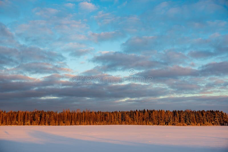 Snow Covered Fields in Winter Countryside Stock Photo - Image of fields ...