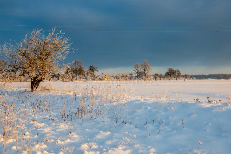 Snow Covered Fields in Winter Countryside Stock Image - Image of frosty ...