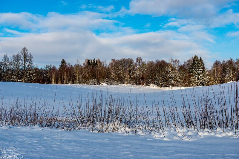 Snow Covered Fields in Winter Countryside Stock Image - Image of ...