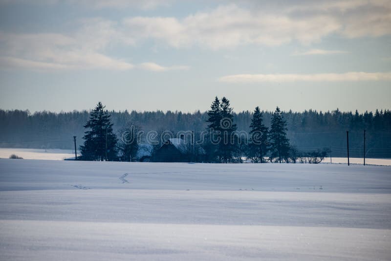 Snow Covered Fields in Winter Countryside Stock Image - Image of tree ...