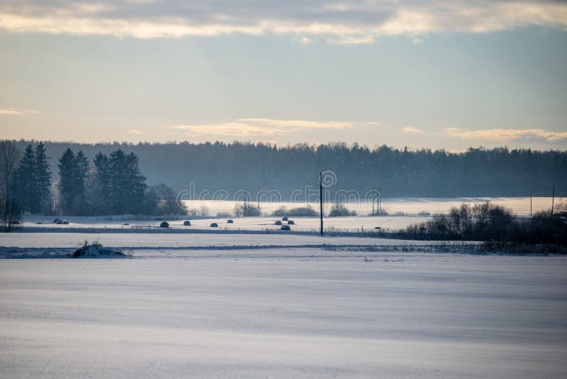 Snow Covered Fields in Winter Countryside Stock Image - Image of scenic ...