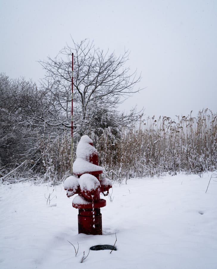 170 Hydrant Pole Stock Photos - Free & Royalty-Free Stock Photos from ...
