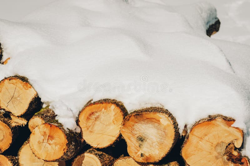 Snow Covered Firewood Stack Stock Photo - Image of nature, lumber ...